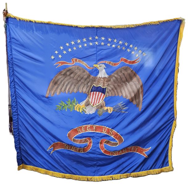 Used - 9th Infantry Union Flag