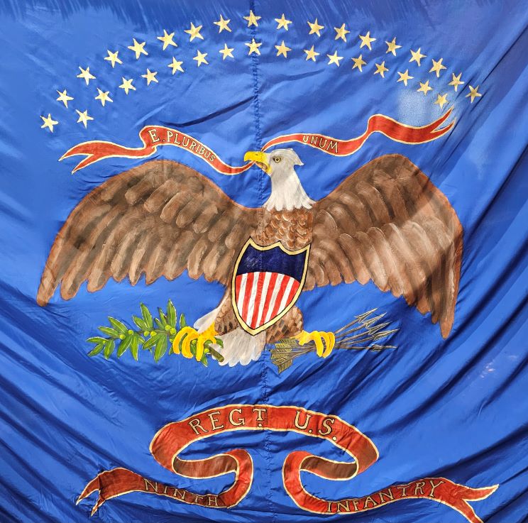 Used - 9th Infantry Union Flag